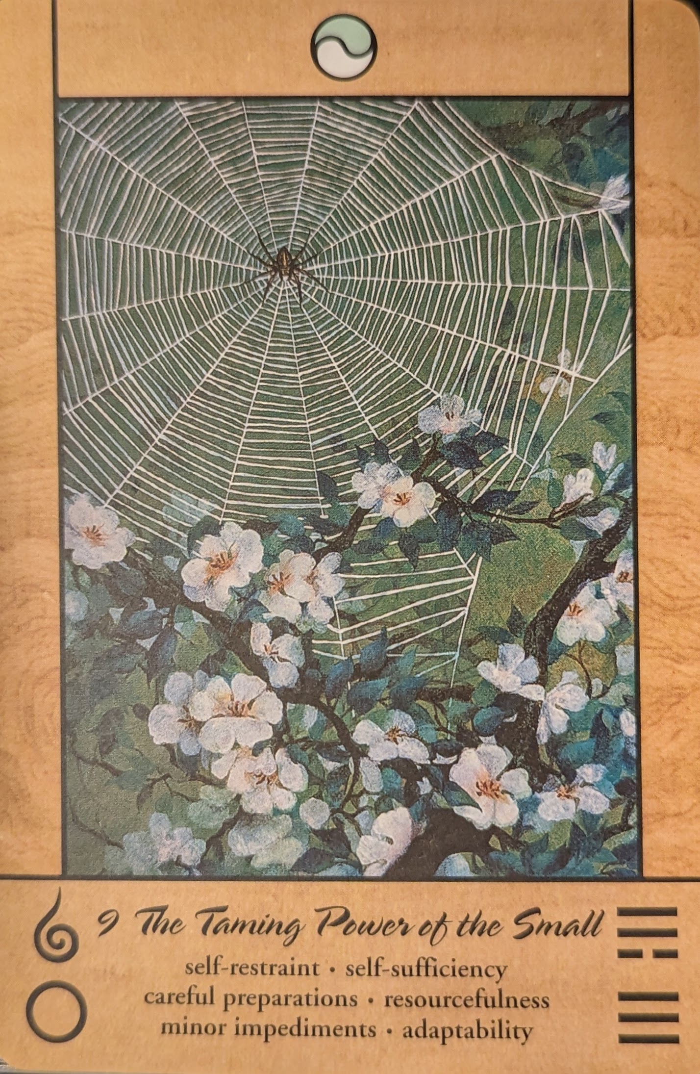 Gate 9 (Foundation) - Open Book Alchemy